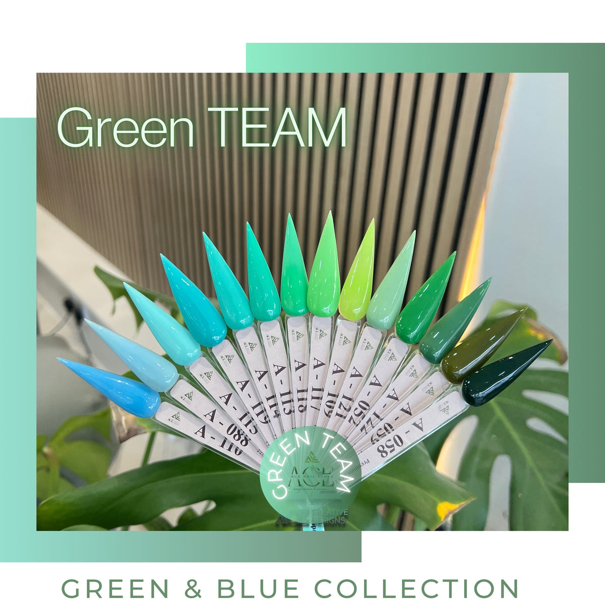 Ace Collection – Ace Nail Store